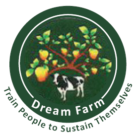 About us – Dream Farm Kyakabunga Group